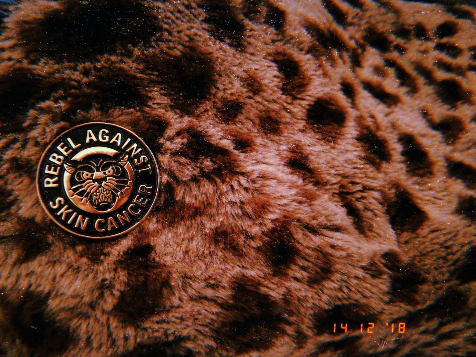 Rebel against skin cancer Pin - Spot The Dot